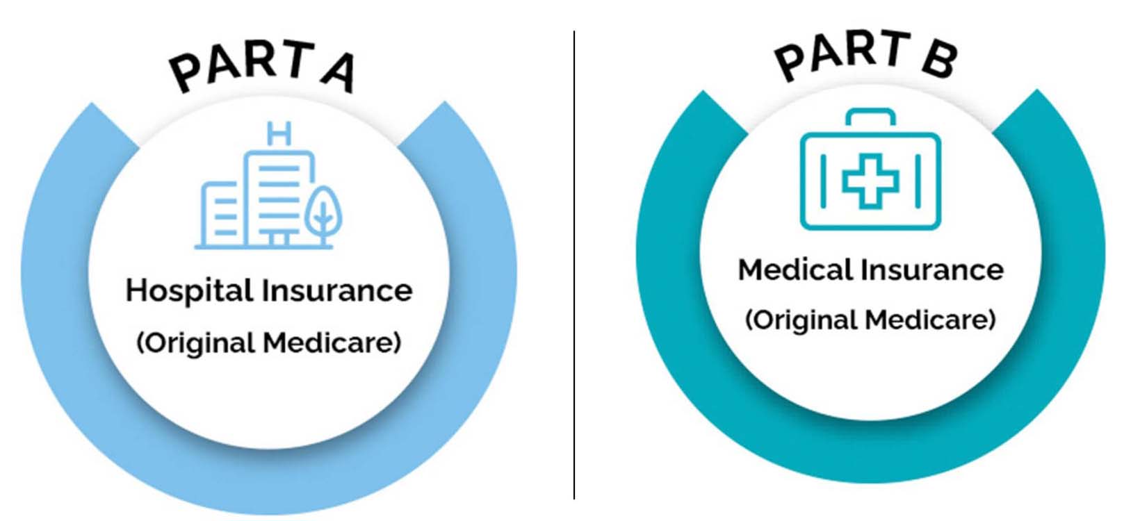 Beginner's Guide to Medicare | Medicare Savings Group